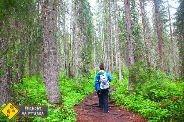 Guia de viagem do Yoho National Park