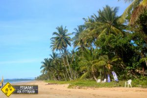 De Mission Beach a Cardwell Forest Drive: dicas e roteiro
