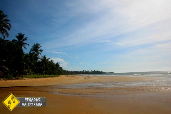 De Mission Beach a Cardwell Forest Drive: dicas e roteiro