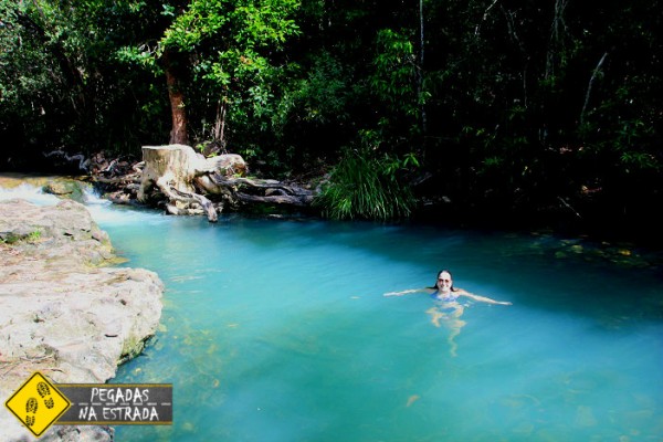 De Mission Beach a Cardwell Forest Drive: dicas e roteiro