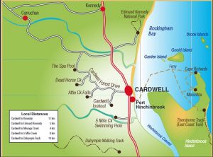 De Mission Beach a Cardwell Forest Drive: dicas e roteiro